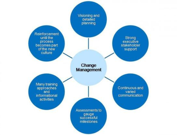 Effective Change Management: Strategies for Success